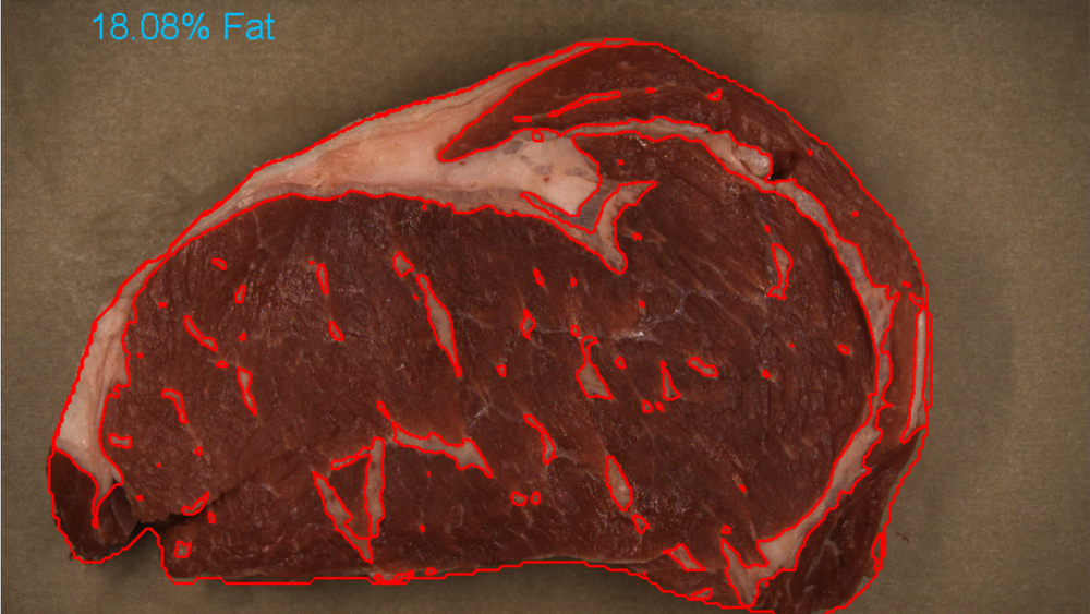 Why Meat and Poultry Processors Are Turning to Automated Inspection ...
